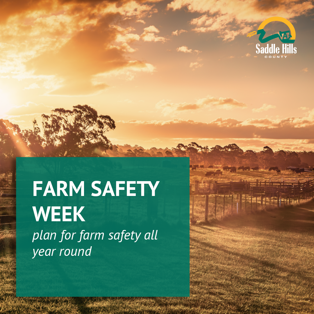 Home | Saddle Hills County