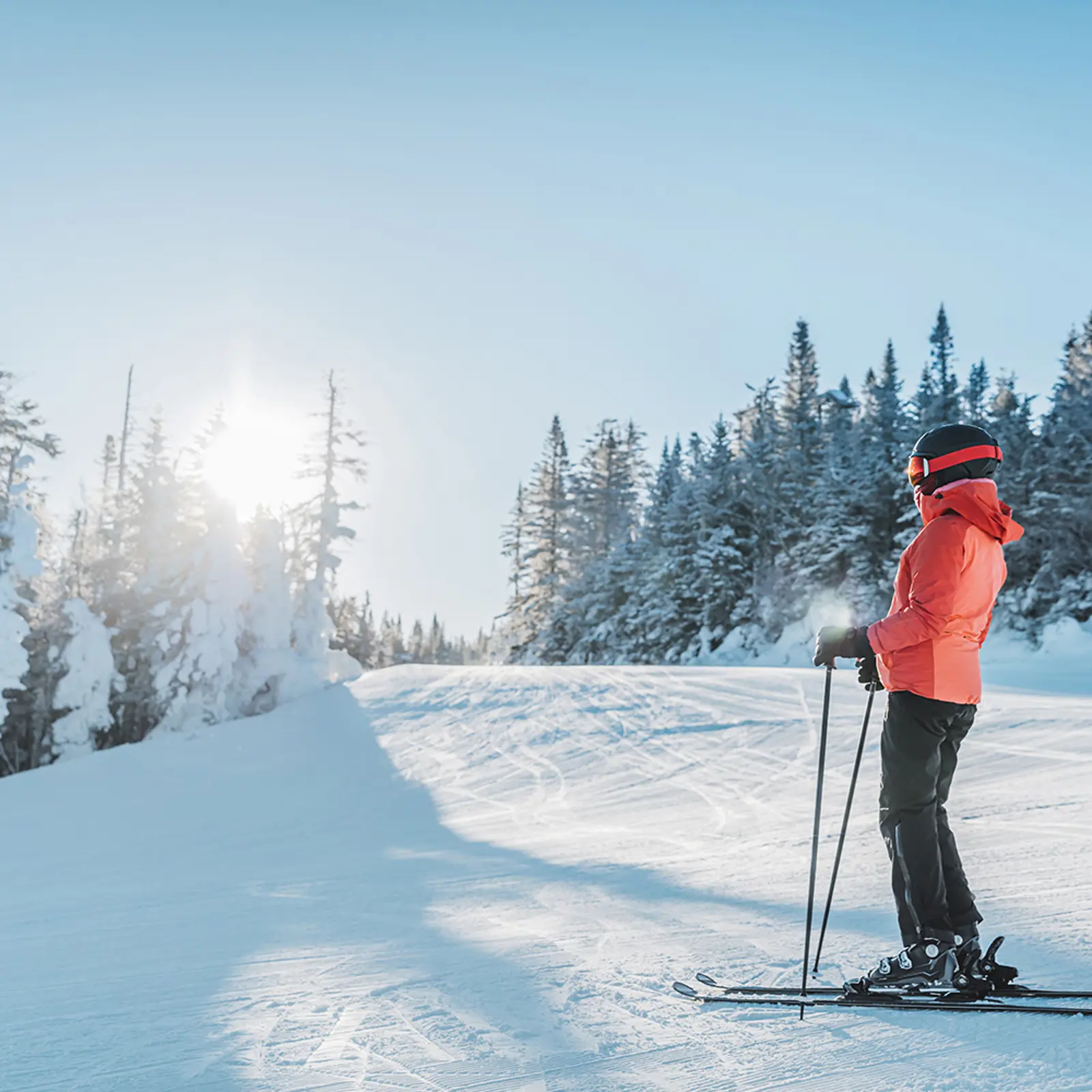 Spring Lake | Saddle Hills County