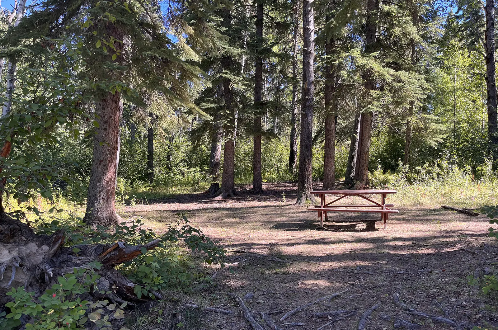 Spring Lake | Saddle Hills County