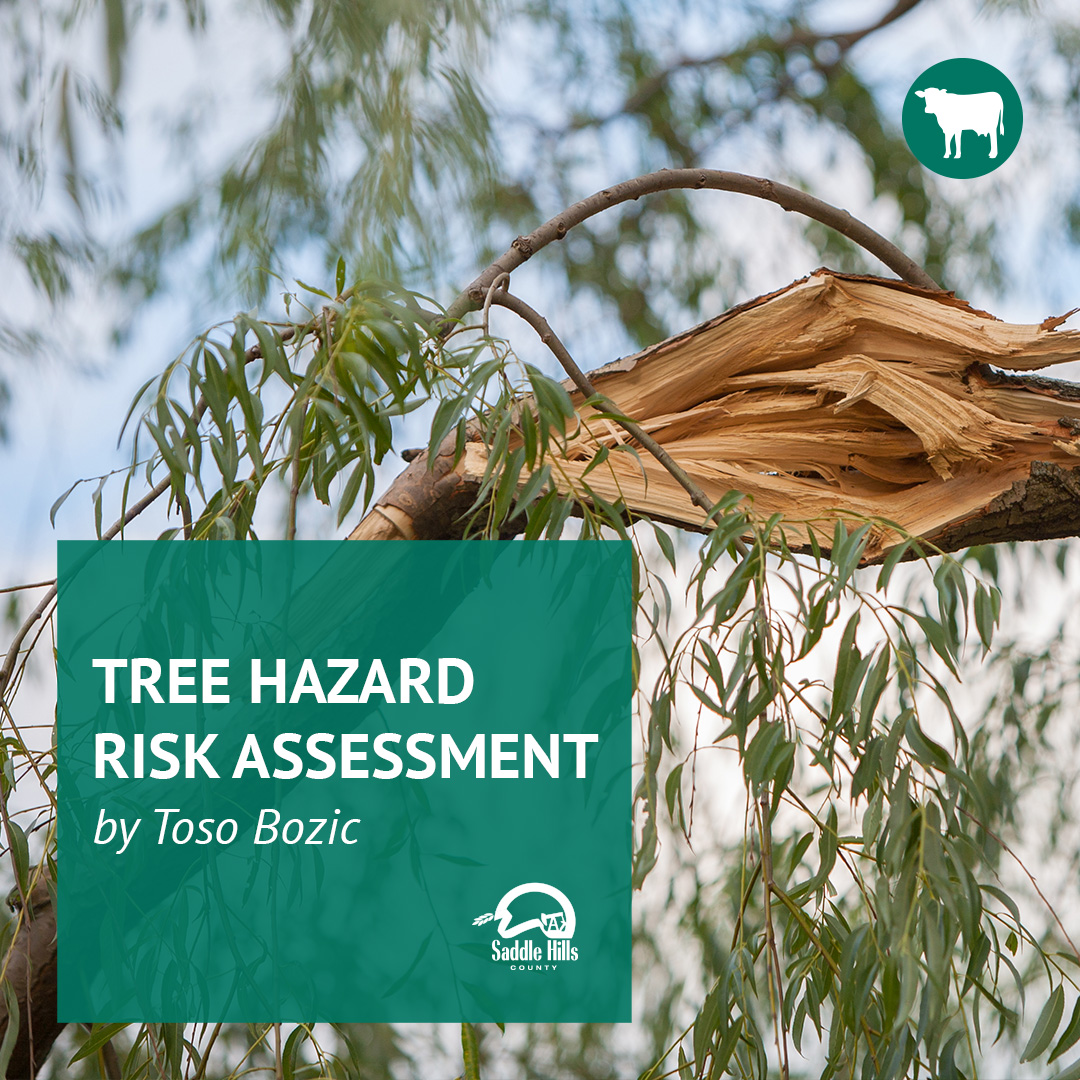 Home | Saddle Hills County