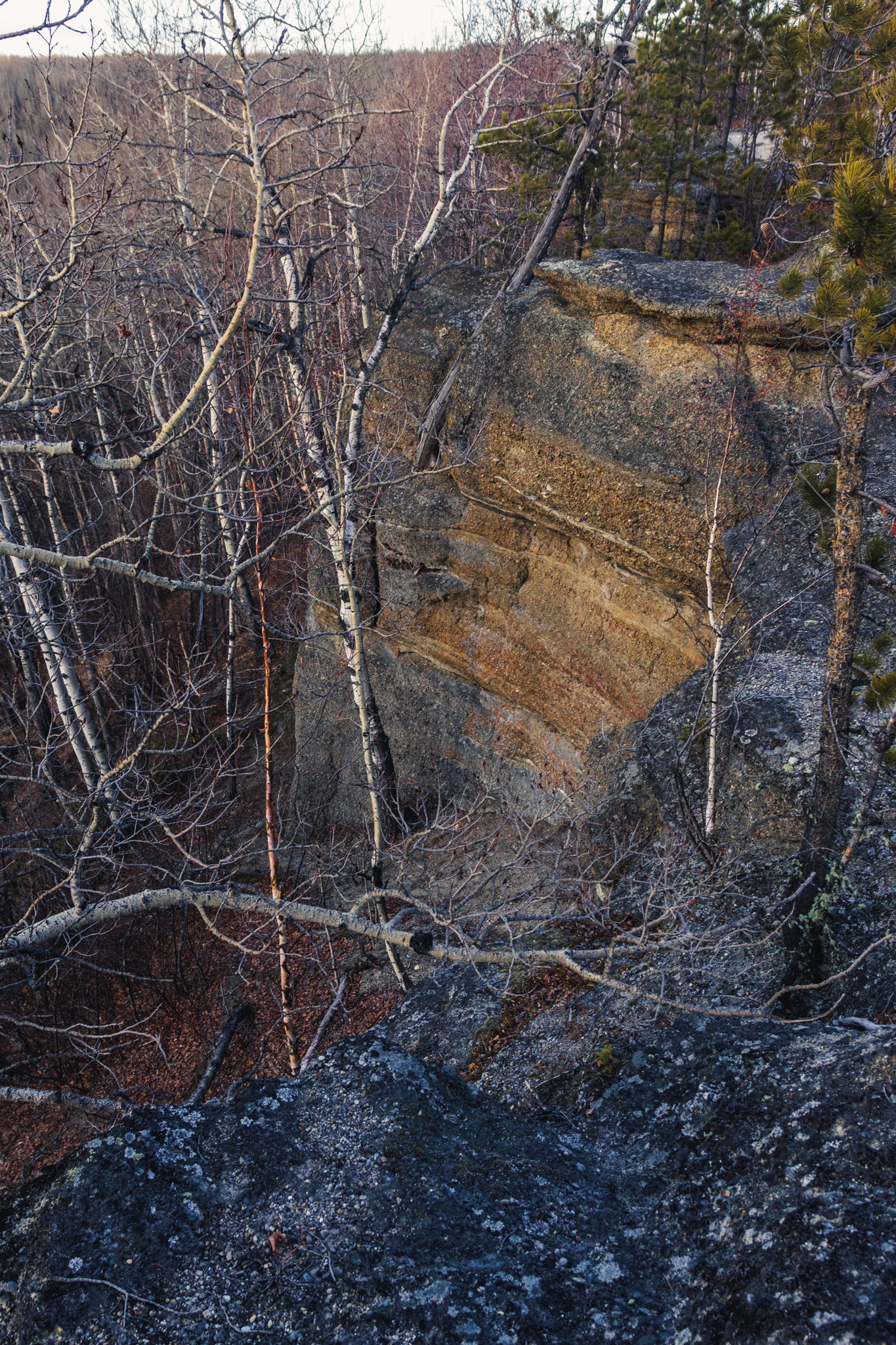 Rim Rocks | Saddle Hills County