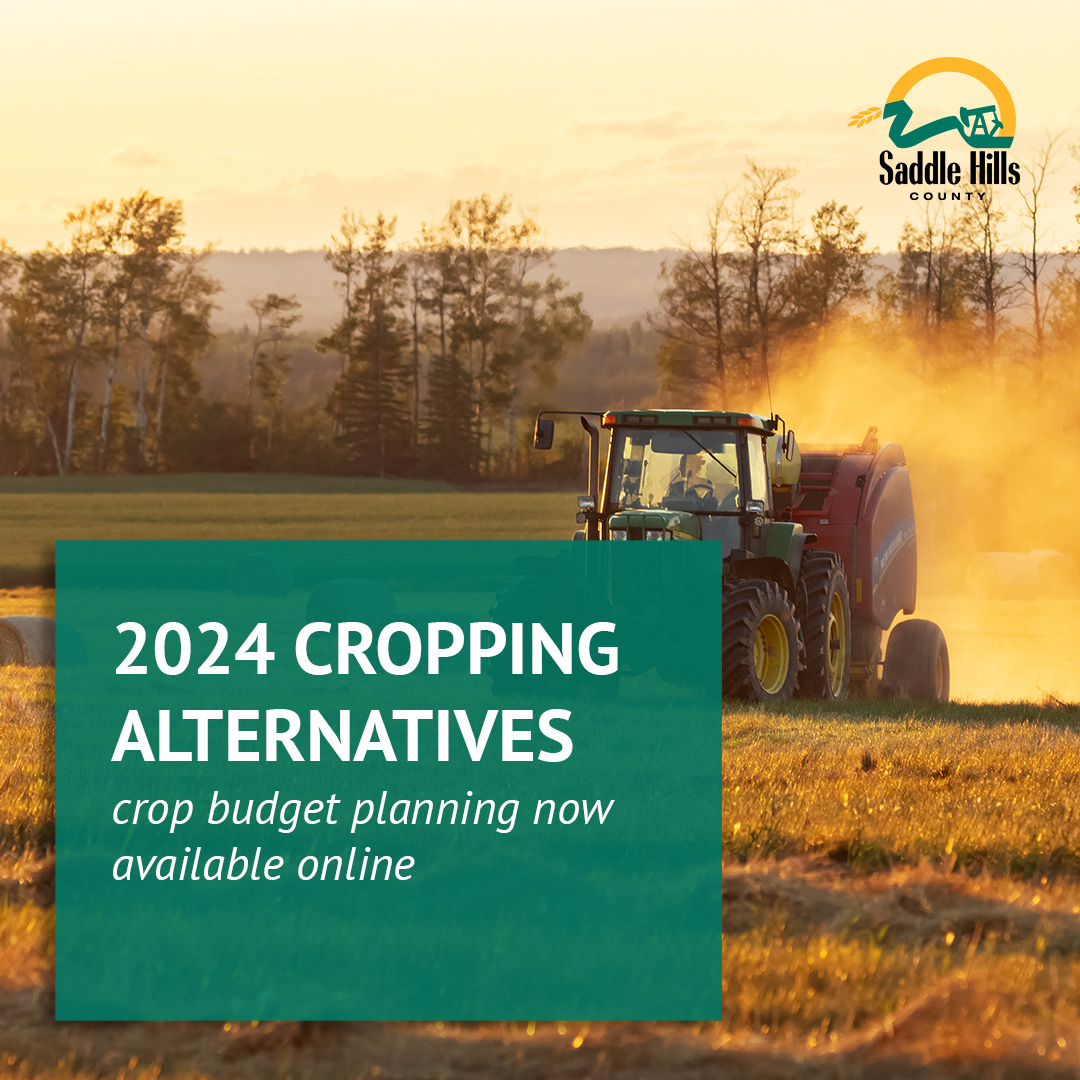 Home | Saddle Hills County