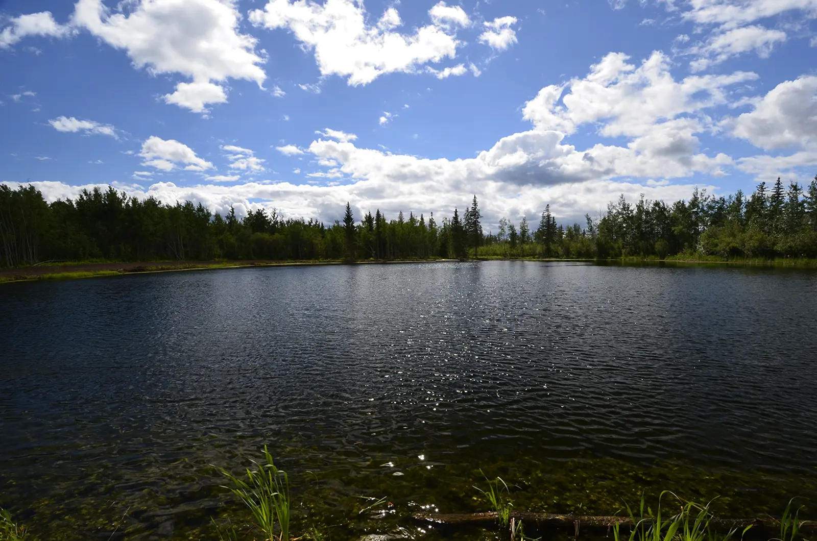 Shell True North Pond | Saddle Hills County